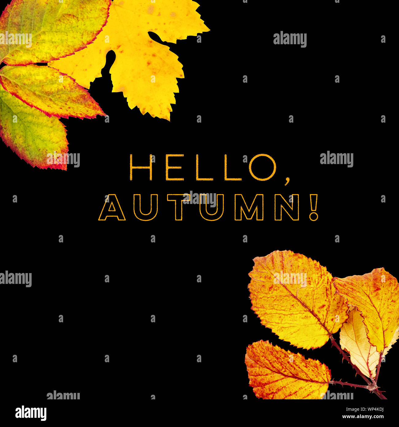 Hello, Autumn design template with vibrant yellow and orange autumn ...