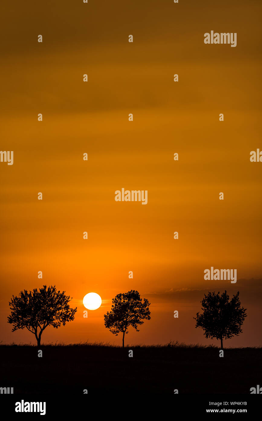Summer sunset in the countryside Stock Photo - Alamy
