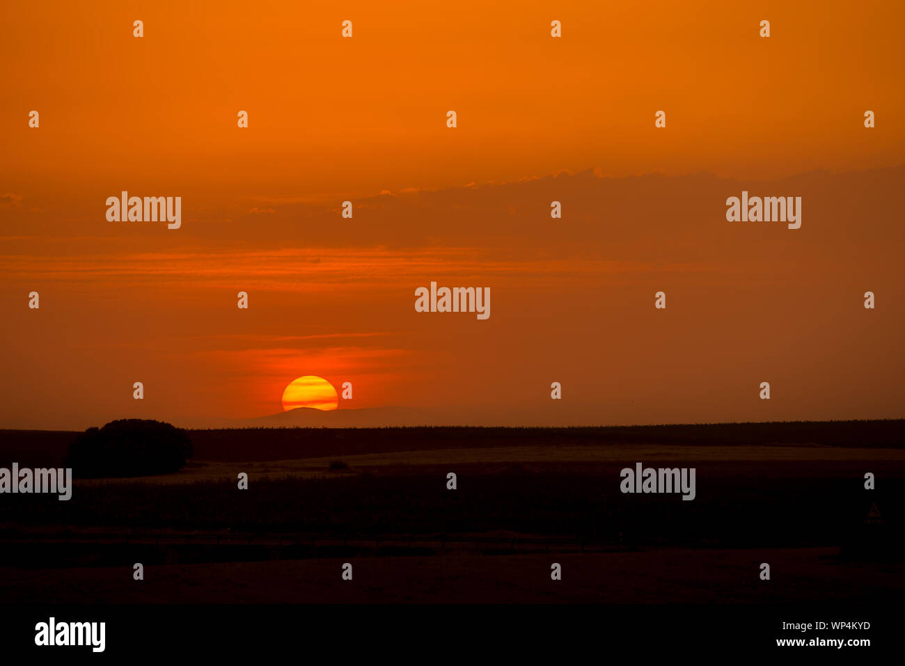 Summer sunset in the countryside Stock Photo - Alamy