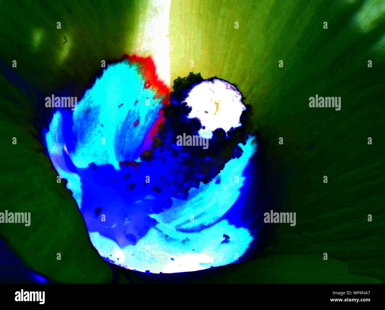 flower, stamen, colorful, many photos, many colors, abstract background ...