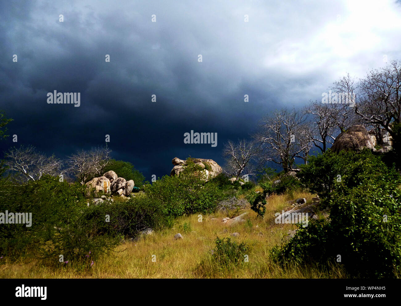 Wet parcel hi-res stock photography and images - Alamy