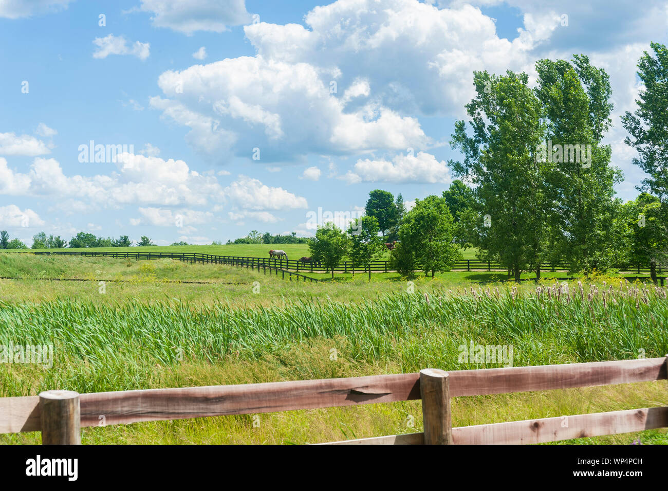 Bluegrass region hi-res stock photography and images - Alamy