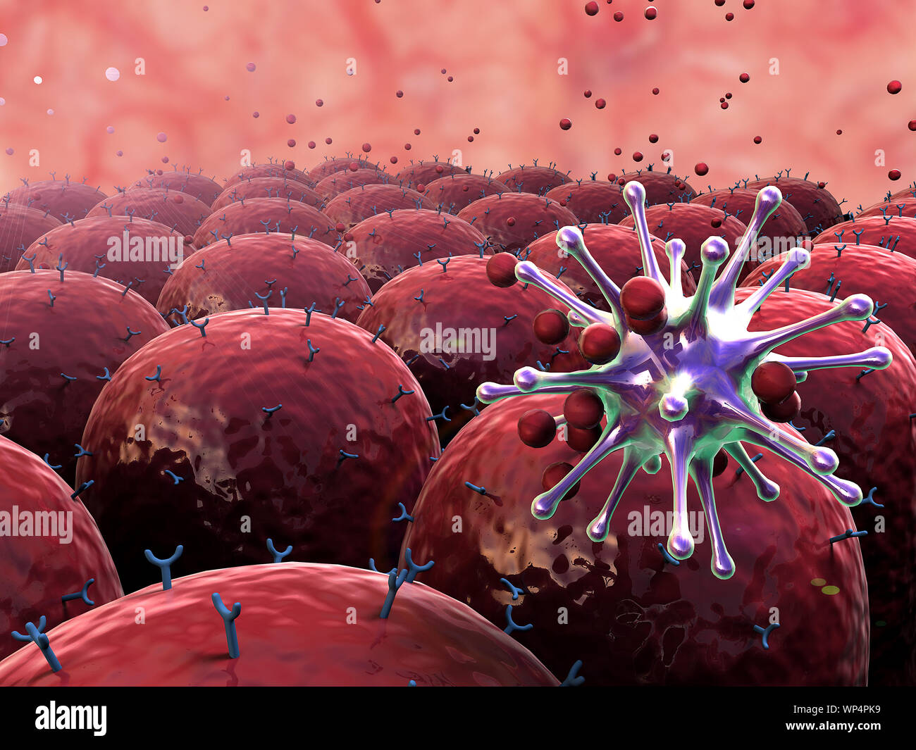 White blood cell attack hi-res stock photography and images - Alamy