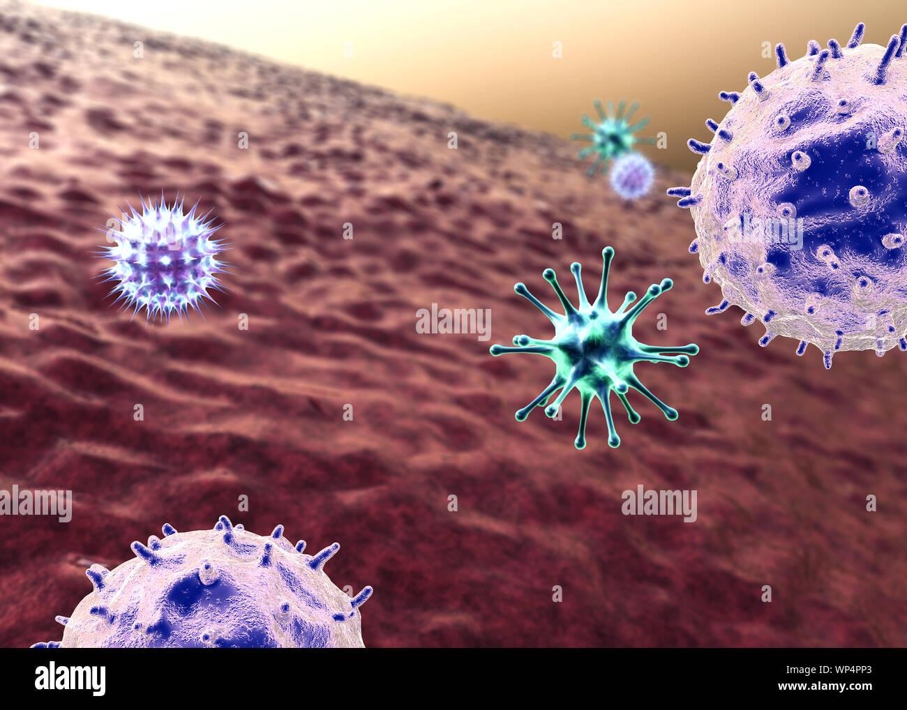 Lymphocytes hi-res stock photography and images - Alamy