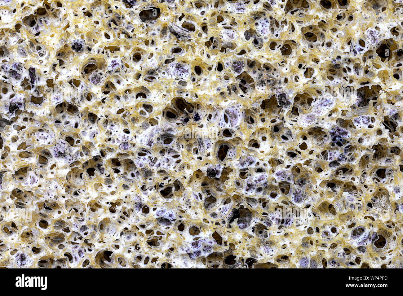 Olive texture hi-res stock photography and images - Alamy