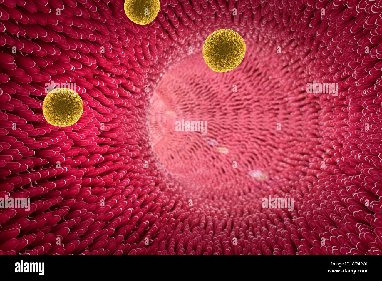 fat cell in the blood Stock Photo - Alamy