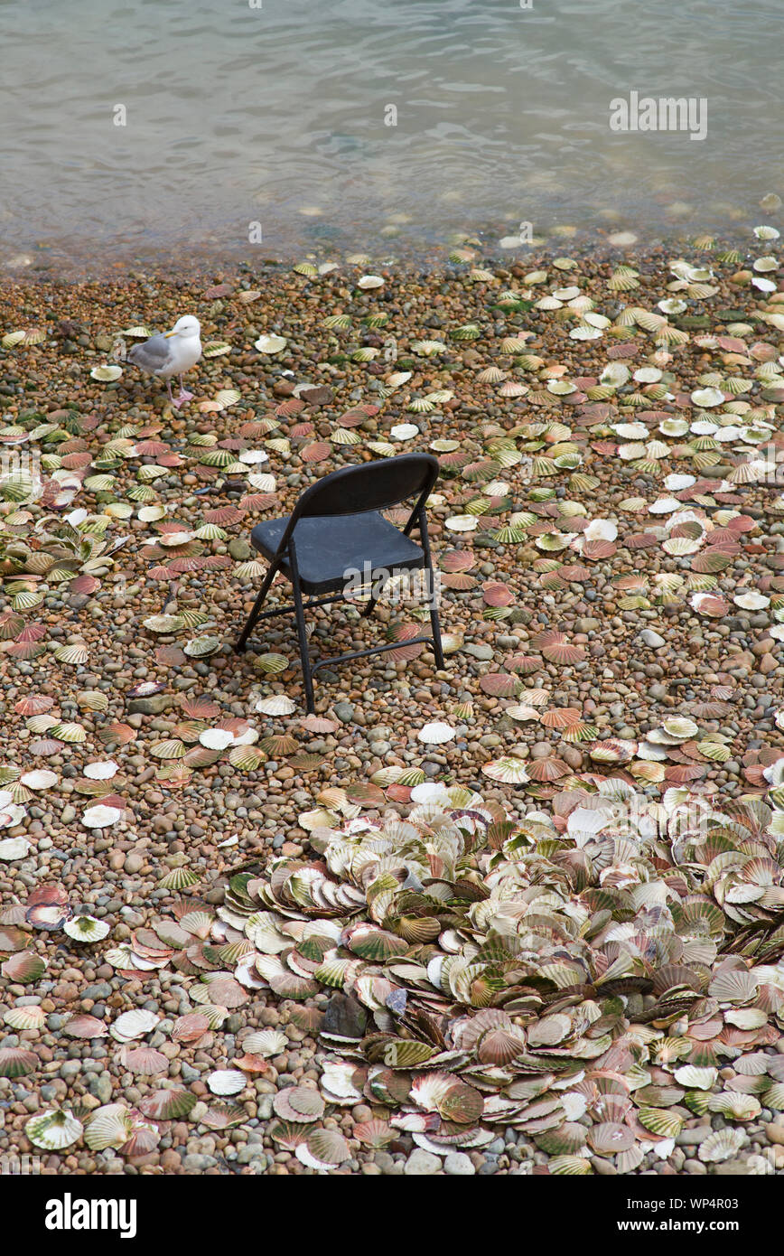 Chair and scallop shell on the beach Stock Photo - Alamy