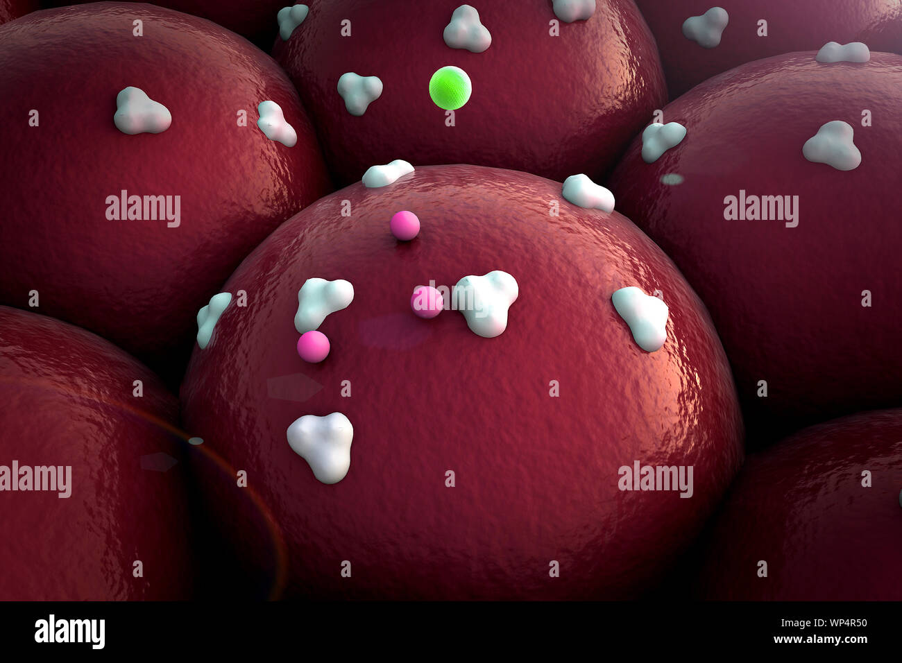 Human cell receptors hi-res stock photography and images - Alamy