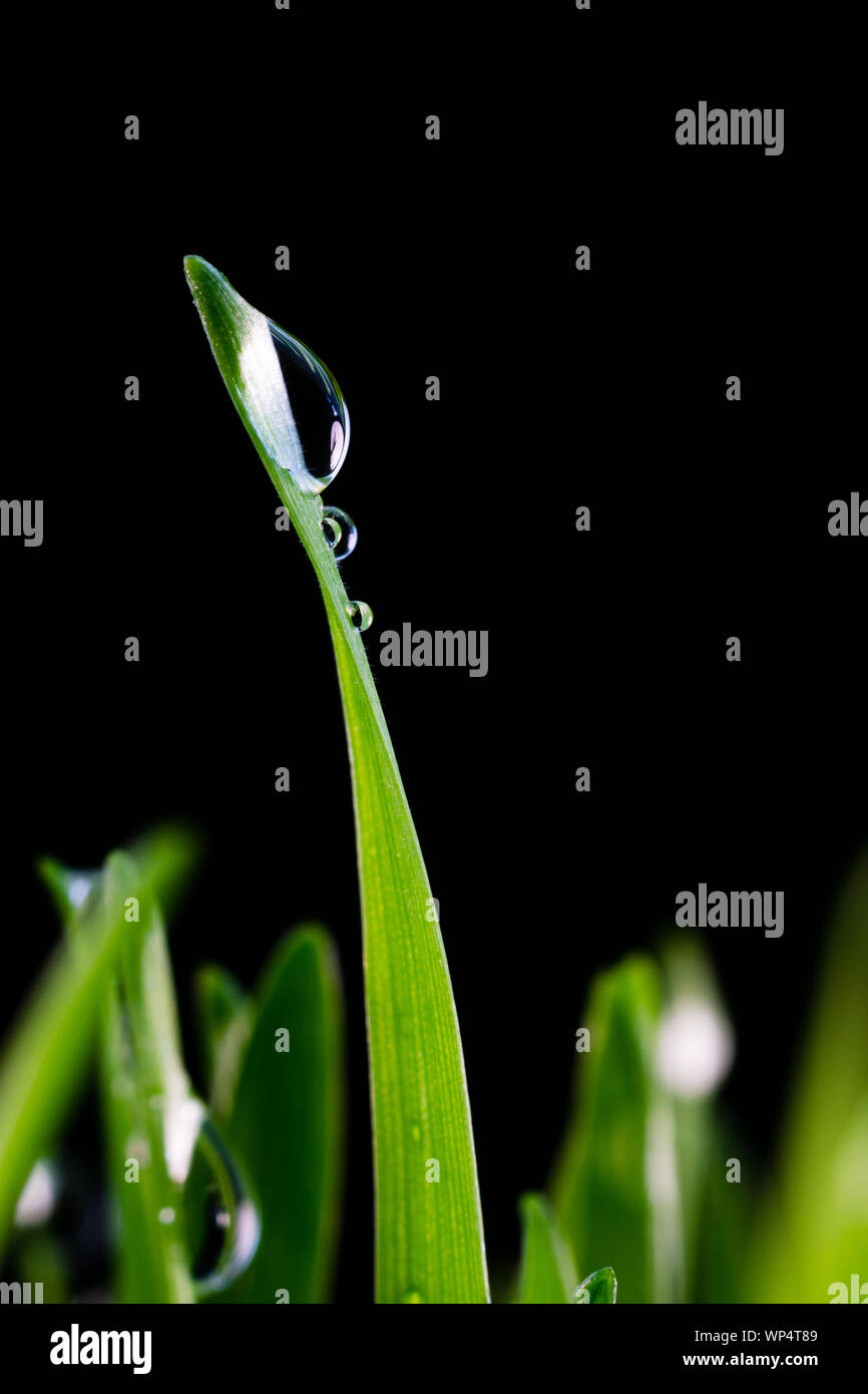 Clean and healthy environment hi-res stock photography and images - Alamy