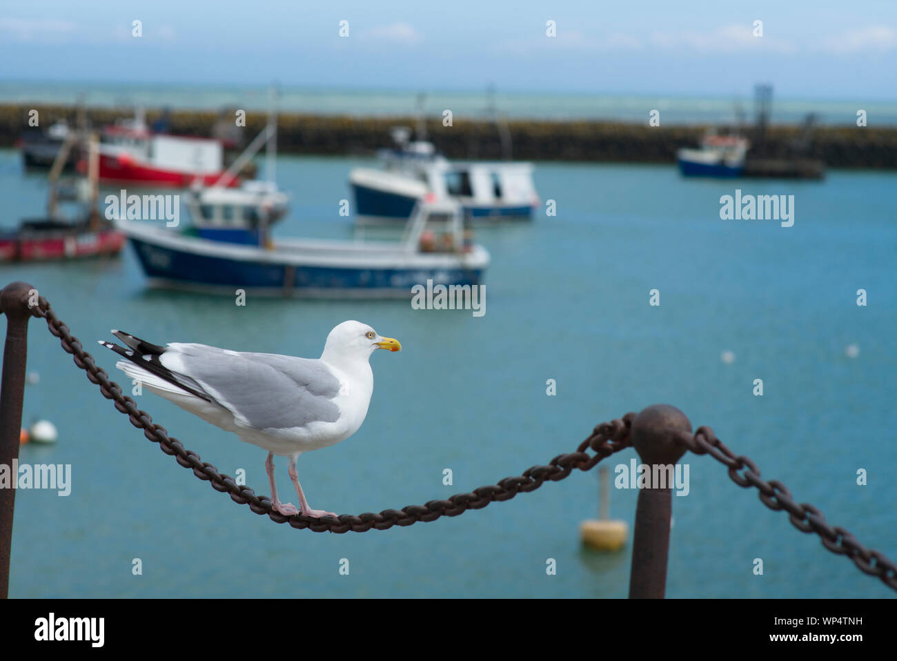 Railing chains hi-res stock photography and images - Alamy