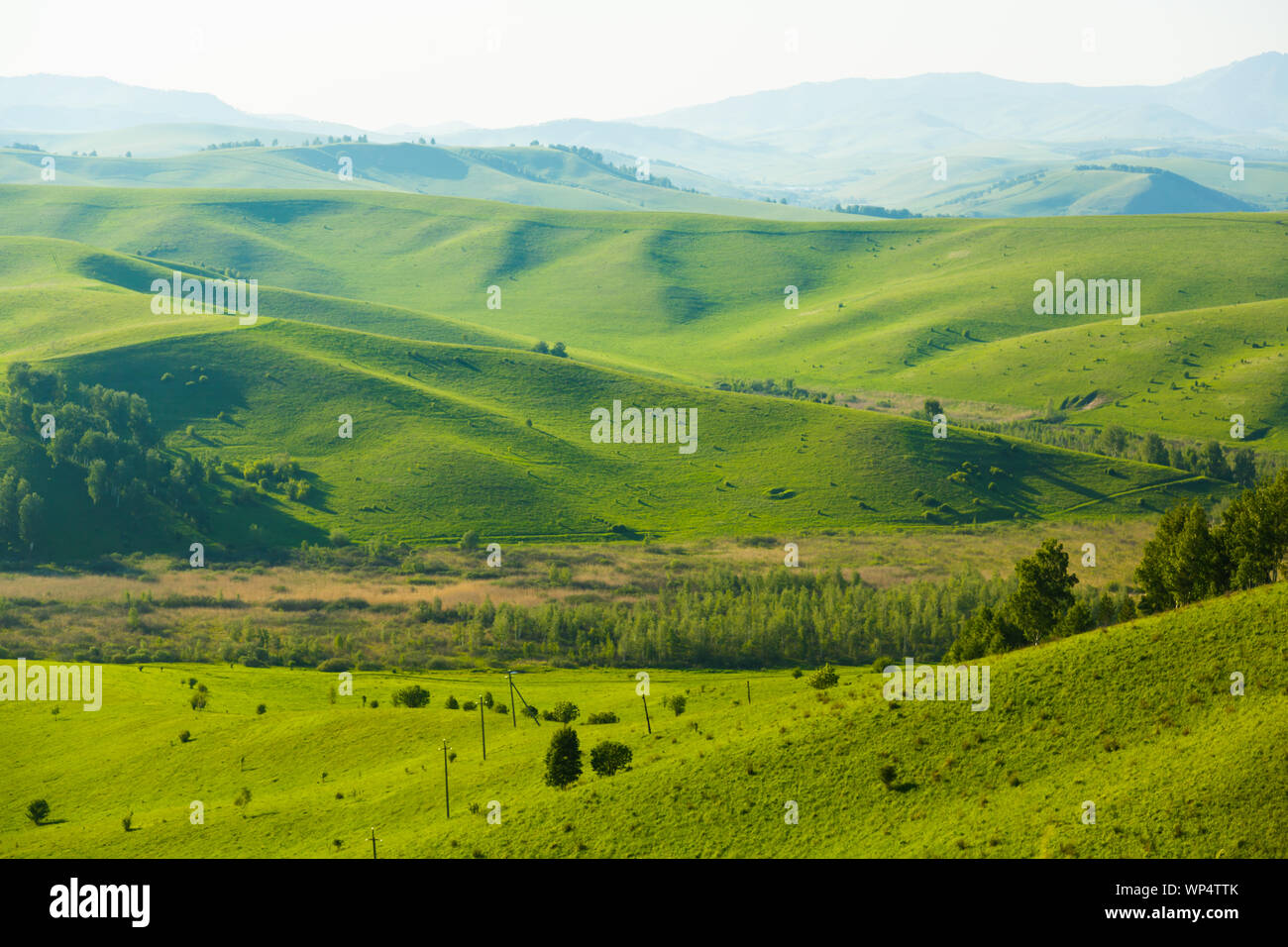 Summer altai landscape hills hi-res stock photography and images - Alamy