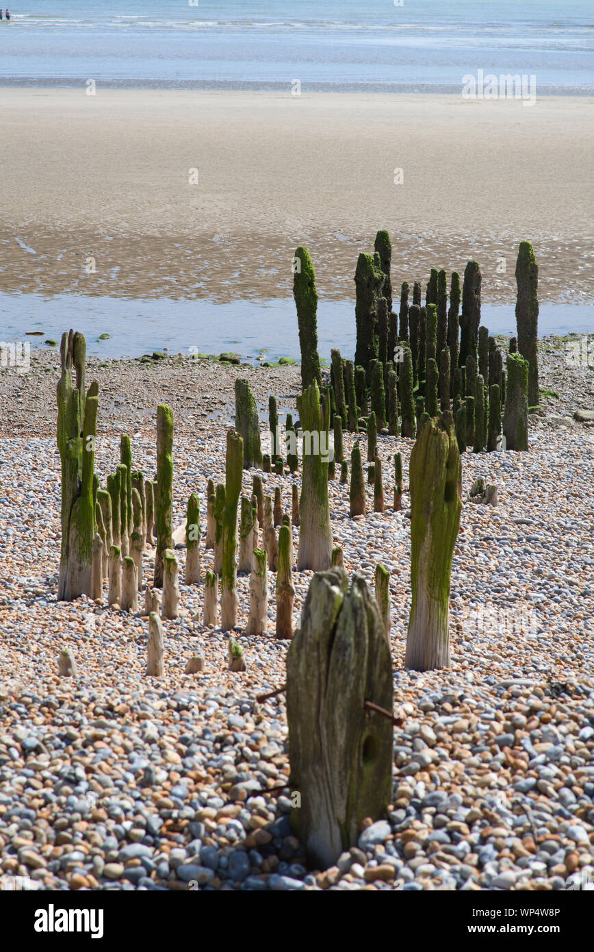 Wooden Groynes Sussex High Resolution Stock Photography and Images - Alamy