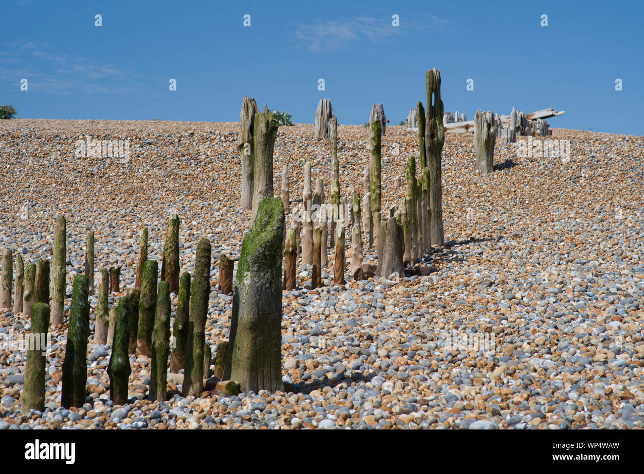 Rotten groynes on the beach hi-res stock photography and images - Alamy