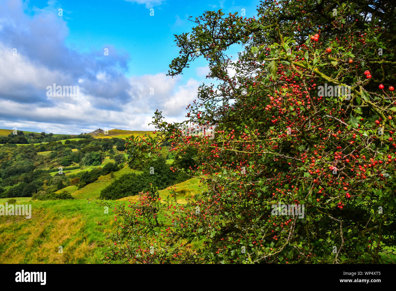 Orchan rocks hi-res stock photography and images - Alamy