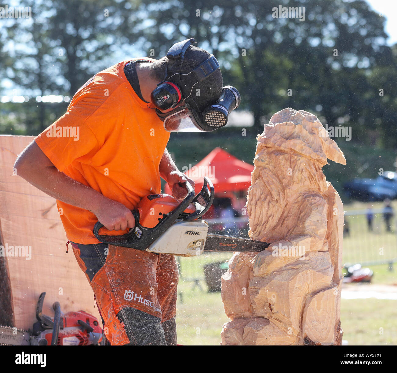Chainsaw eagle hi-res stock photography and images - Alamy