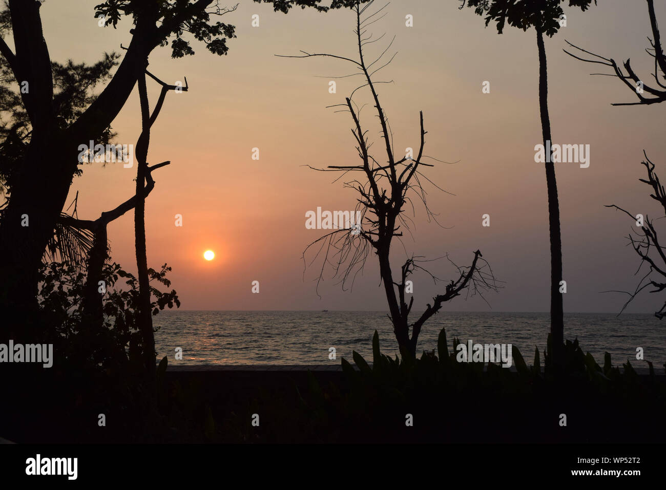 sunset, cochin, kerala, india Stock Photo - Alamy