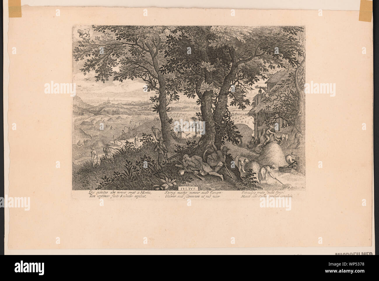 Julius p hi-res stock photography and images - Alamy
