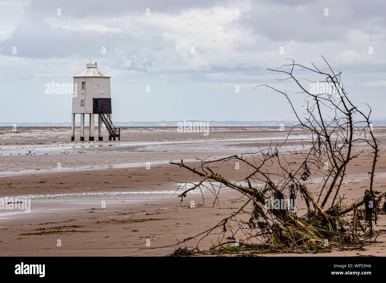 Burnham on Sea lighthouse with a dead bush washed ashore in the ...