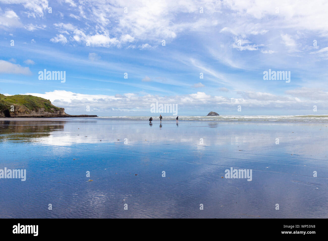 Muriwai Regional Park High Resolution Stock Photography and Images - Alamy