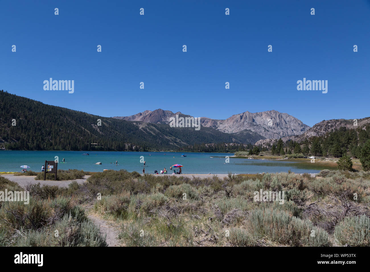 Census designated hi-res stock photography and images - Alamy