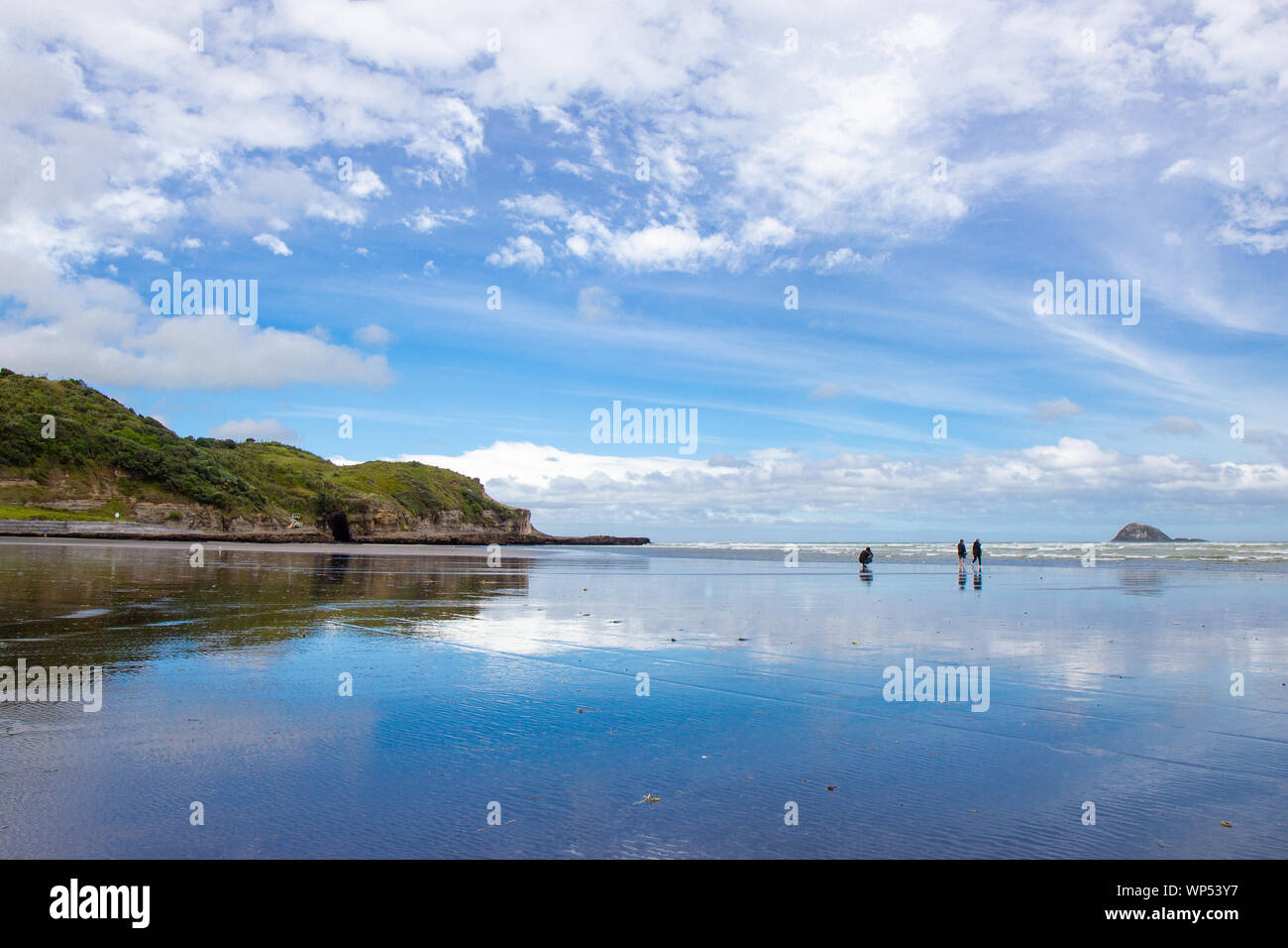 Muriwai regional park hi-res stock photography and images - Alamy