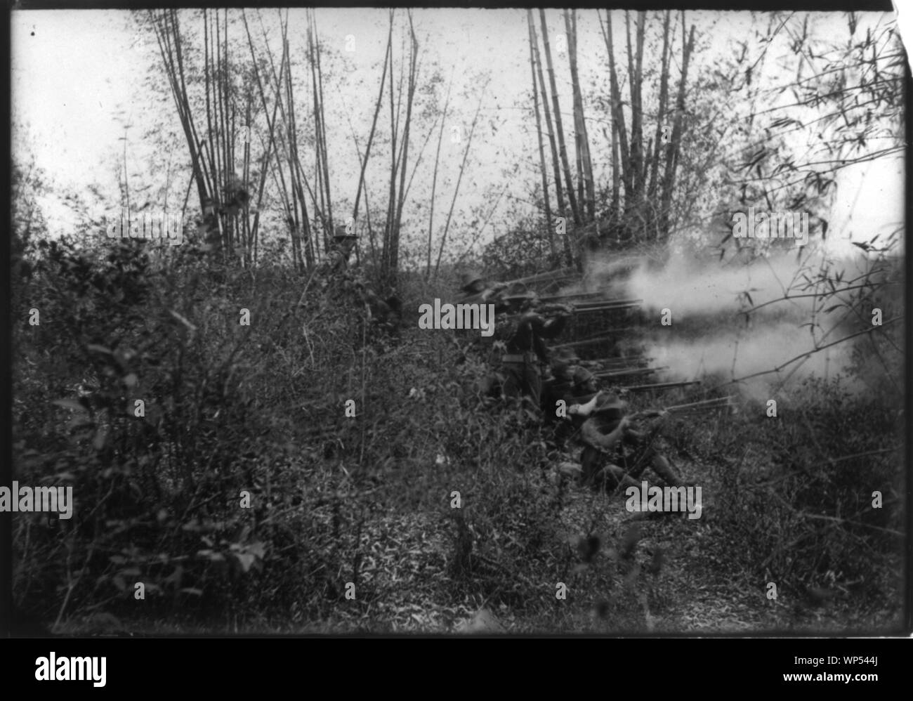 Jungle warfare hi-res stock photography and images - Alamy