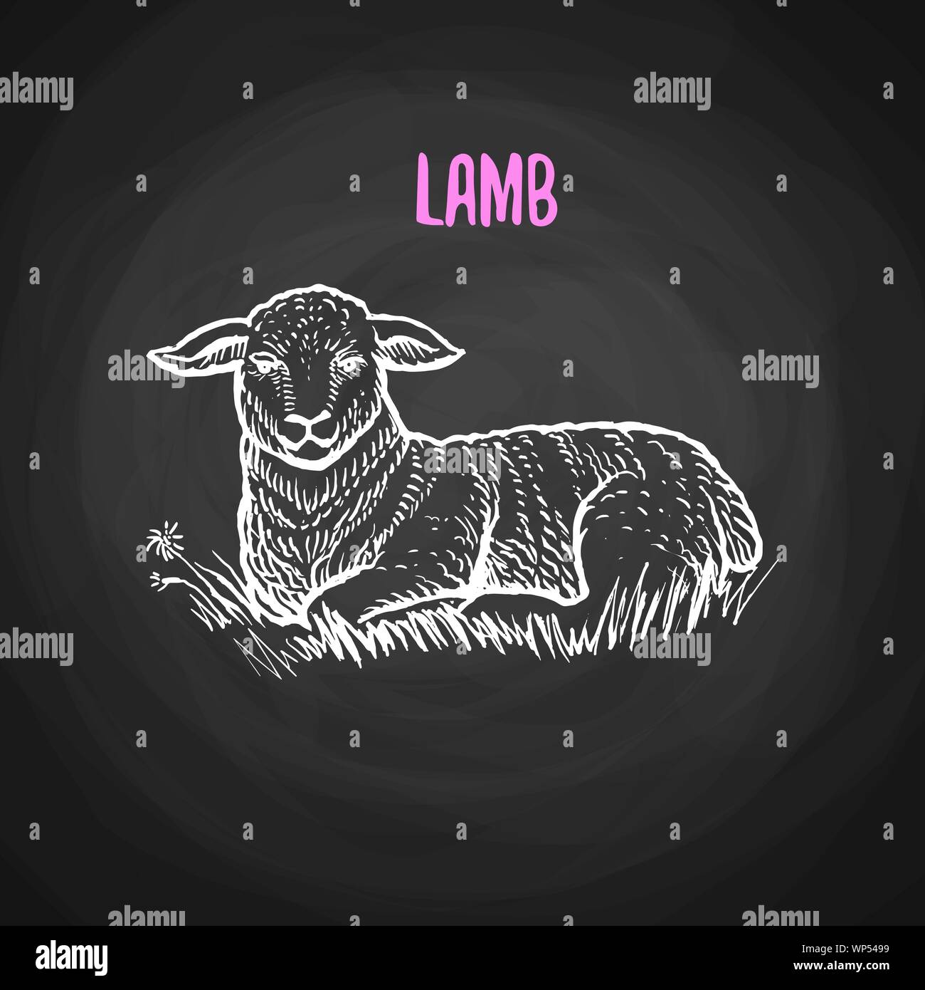 Animal lamb in the style of chalk on a blackboard. Vector illustration ...