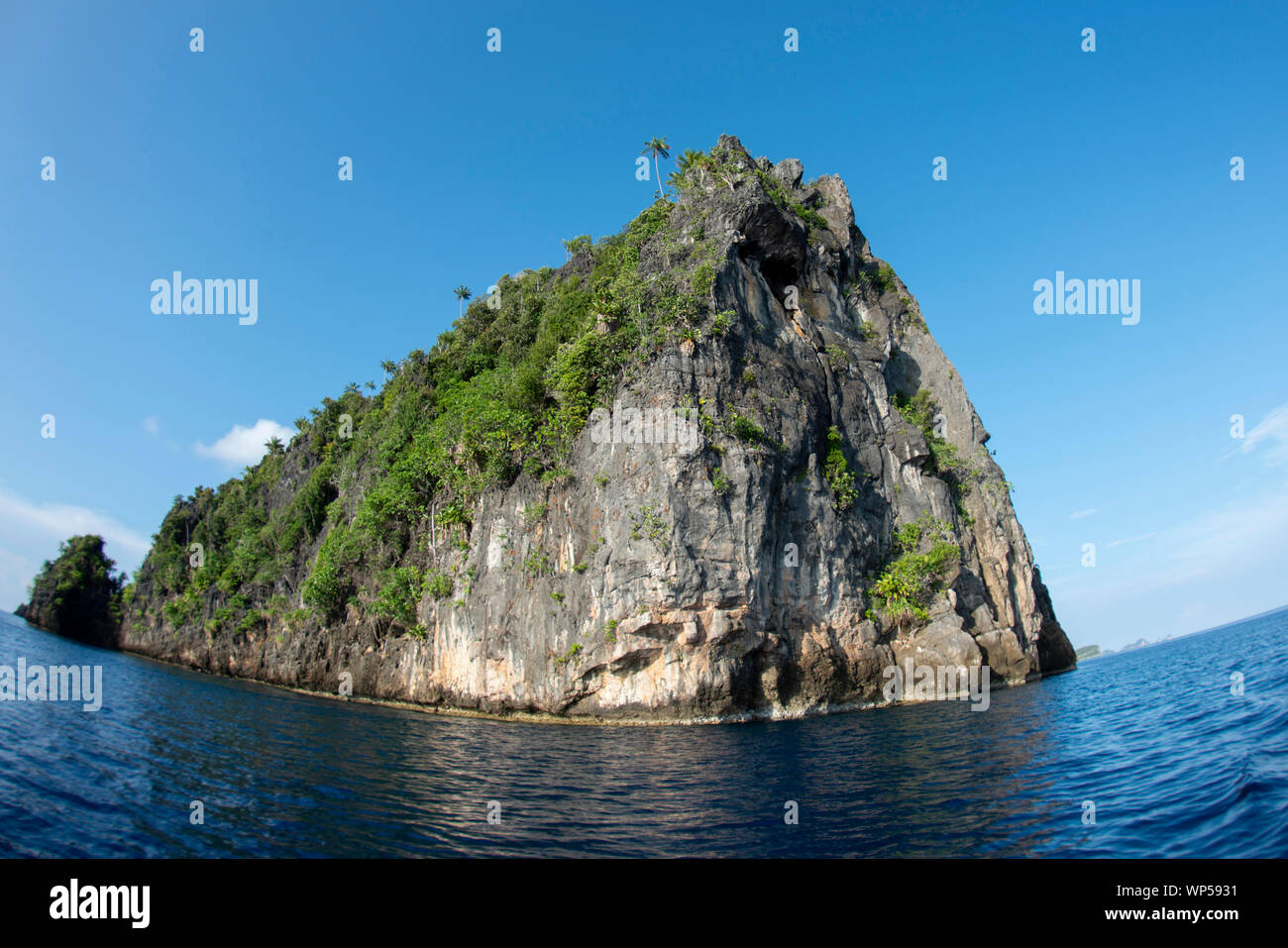 Limestone pinnacle island, Raja Ampat, West Papua, Indonesia Stock ...
