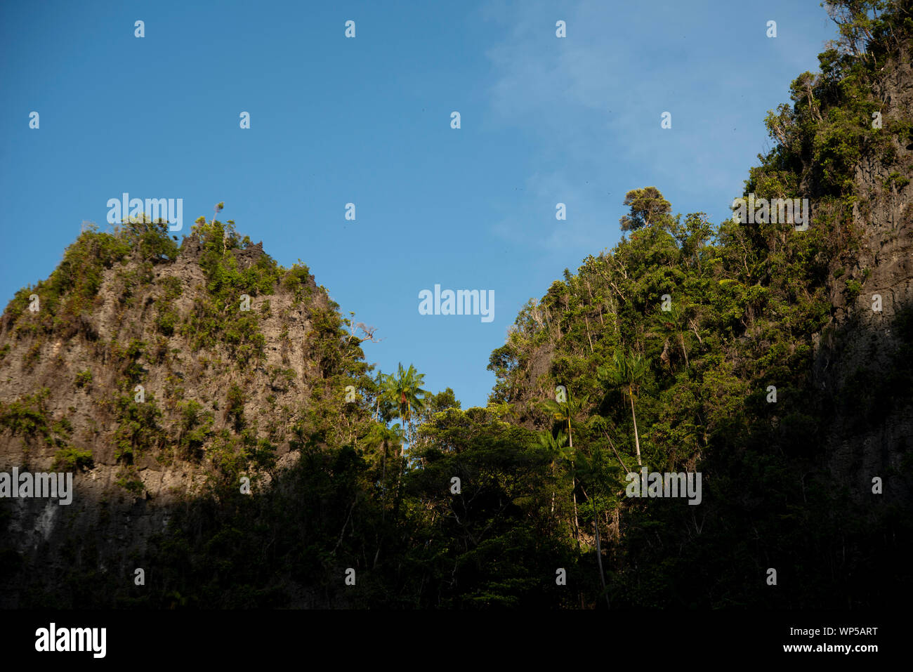 Limestone pinnacle island with shadow, Raja Ampat, West Papua ...