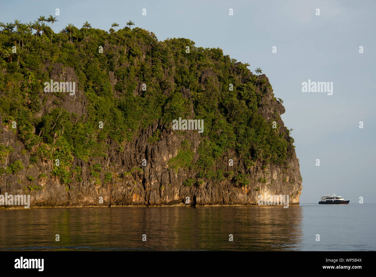 Limestone pinnacle island. with Mermaid liveaboard boat (property ...