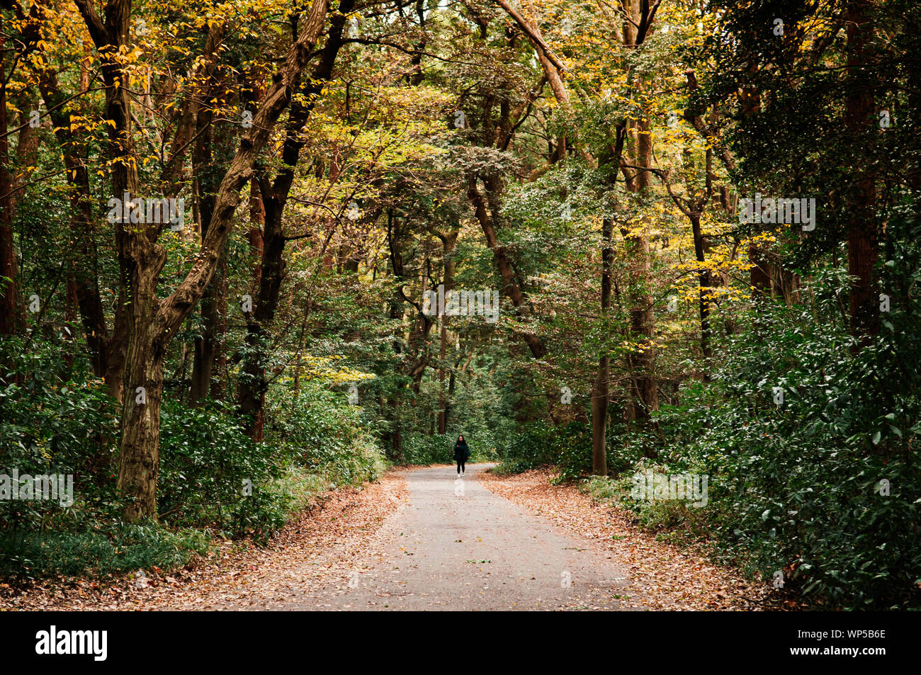 DEC 5, 2019 Tokyo, JAPAN - Asian Tourist walking on small empty ...