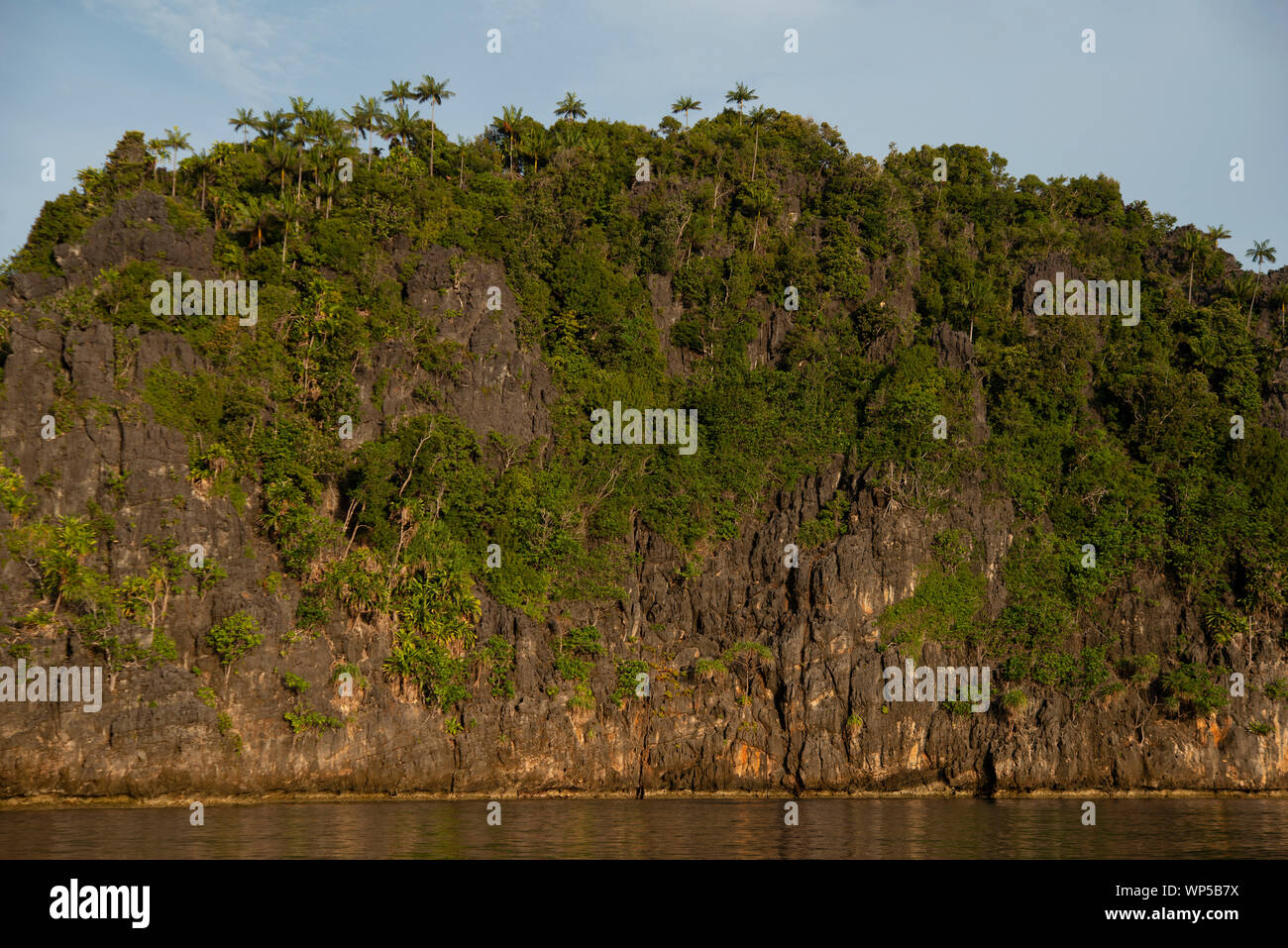 Limestone pinnacle island, Raja Ampat, West Papua, Indonesia Stock ...