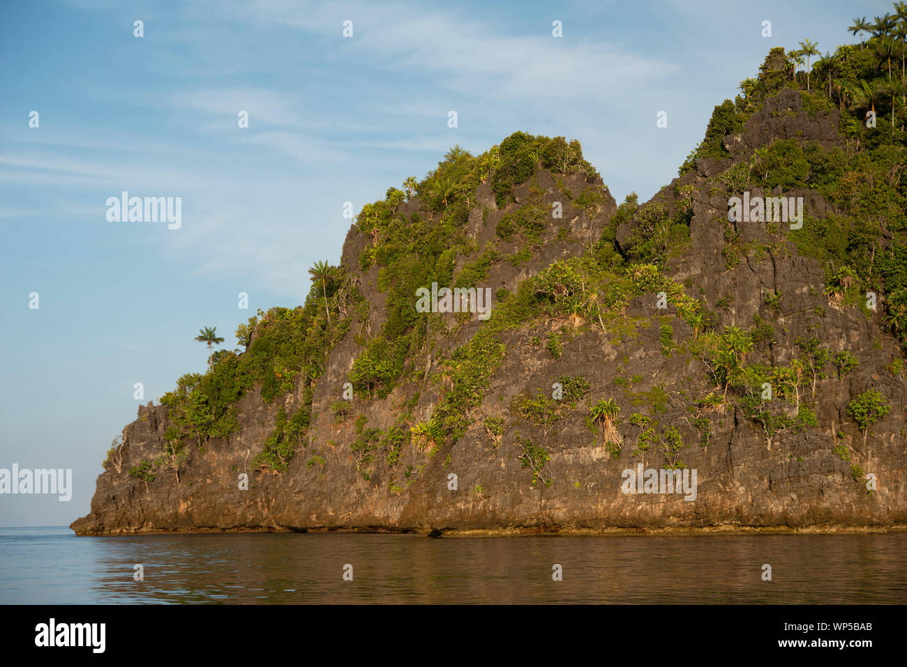 Limestone pinnacle island, Raja Ampat, West Papua, Indonesia Stock ...