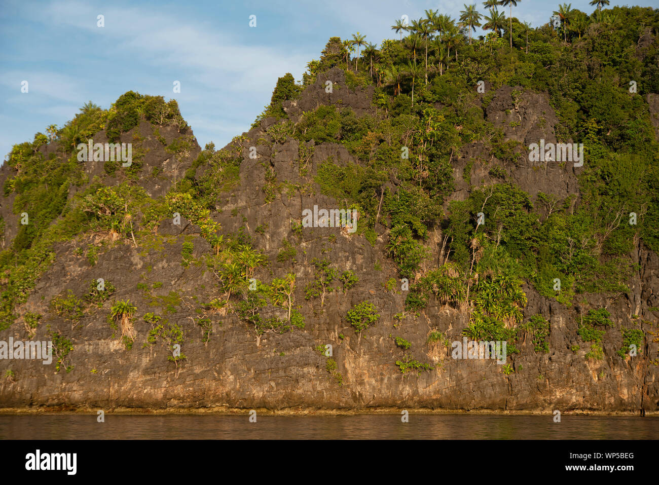 Limestone pinnacle island, Raja Ampat, West Papua, Indonesia Stock ...