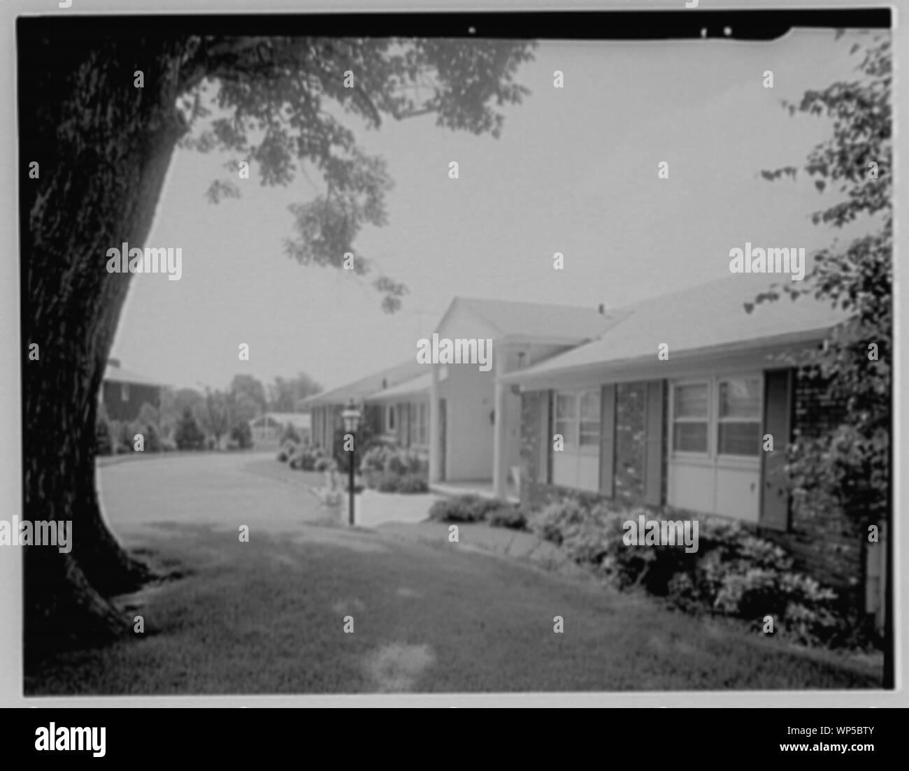 Long neck point hi-res stock photography and images - Alamy