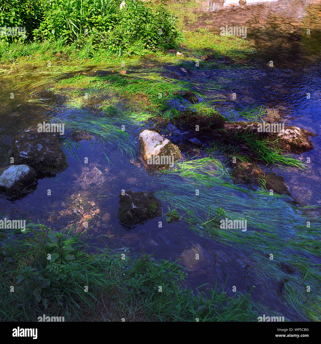 The river Lathkill flowing through Lathkill Dale below Over Haddon in ...