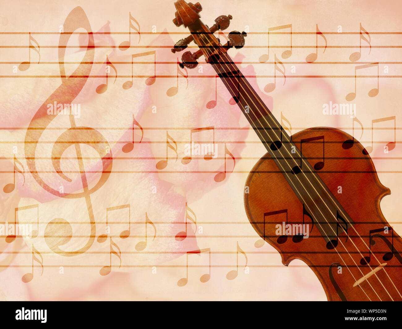 Violin Music Notes Wallpaper