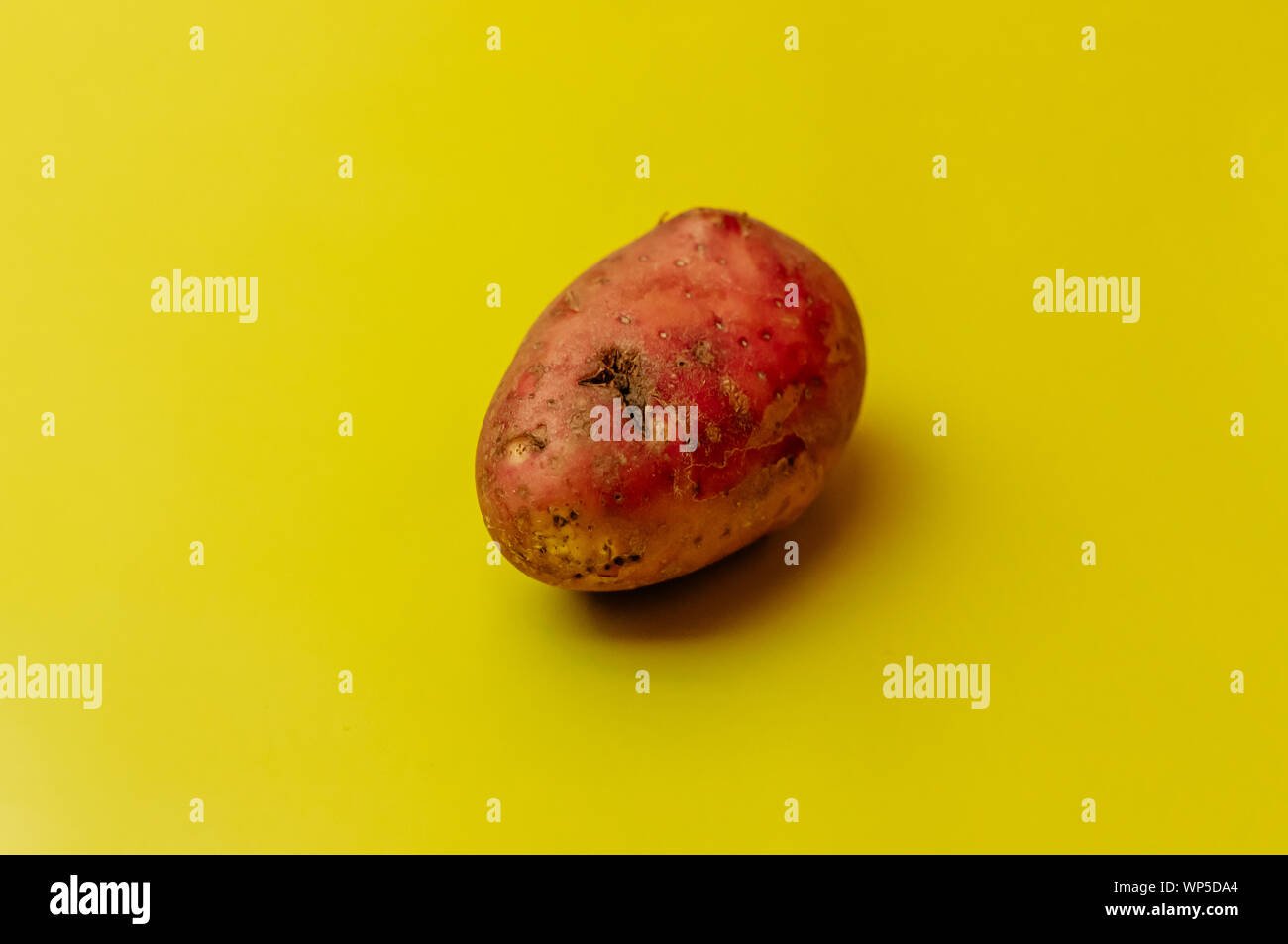 Strange ugly mutant red organic uneven potatoes with insect bites on a ...