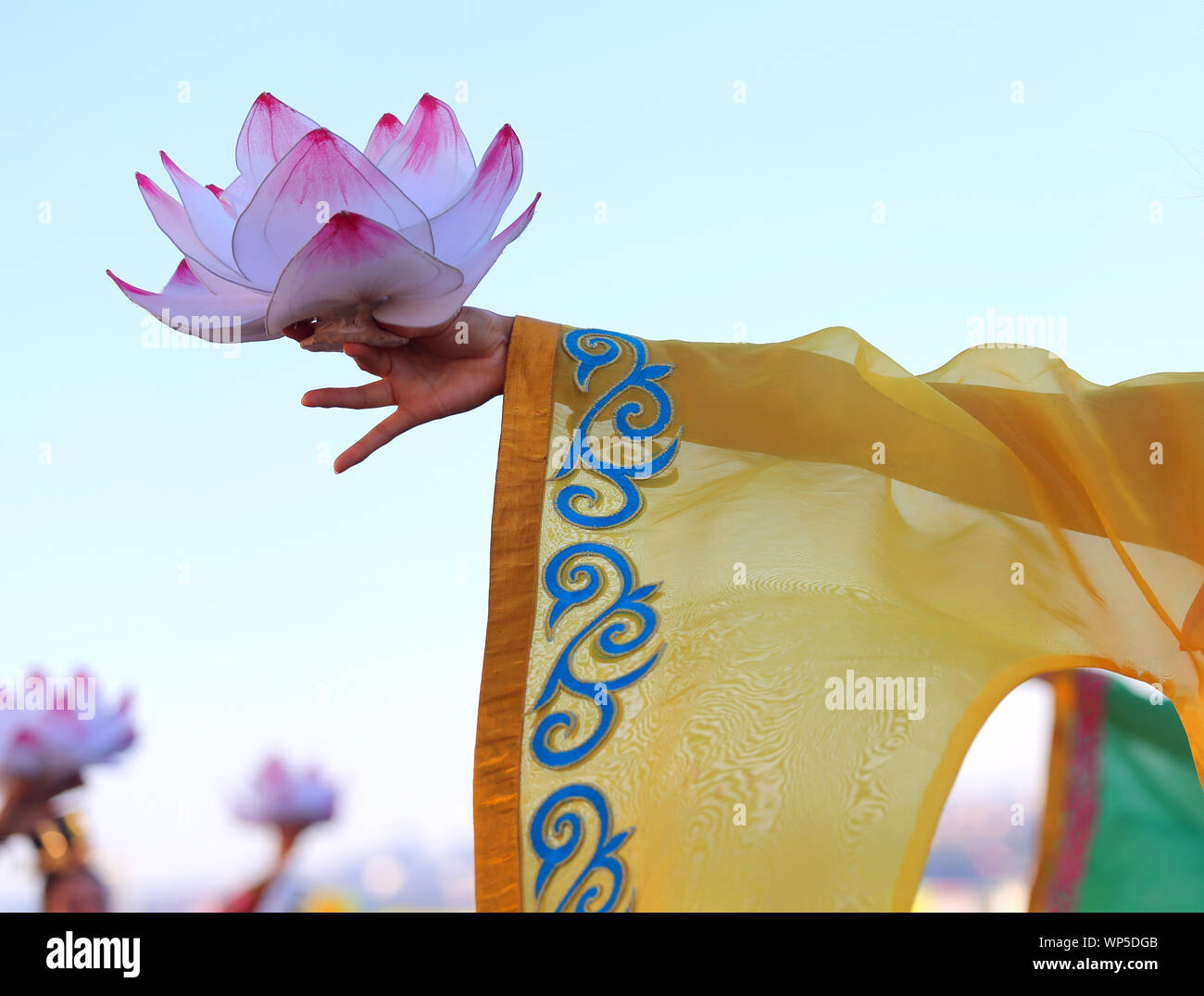 Lotus Flower Pod Head And Shoulder