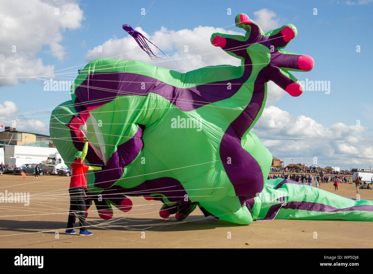 Peter lynn maxi gecko kite hi-res stock photography and images - Alamy
