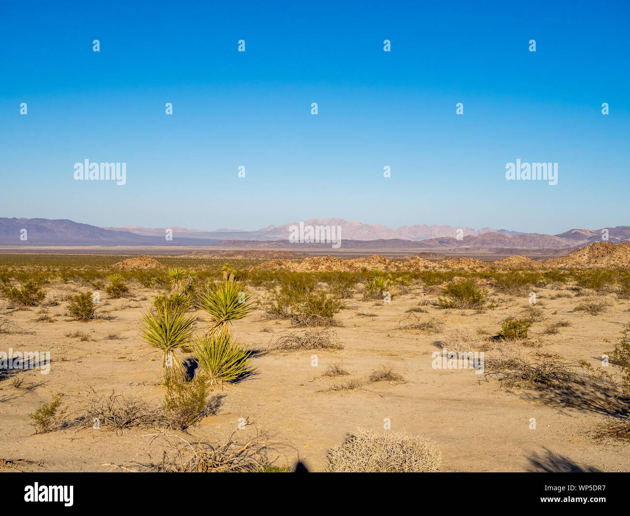 Landscape in Joshua Tree National Park, California, USA, where the ...