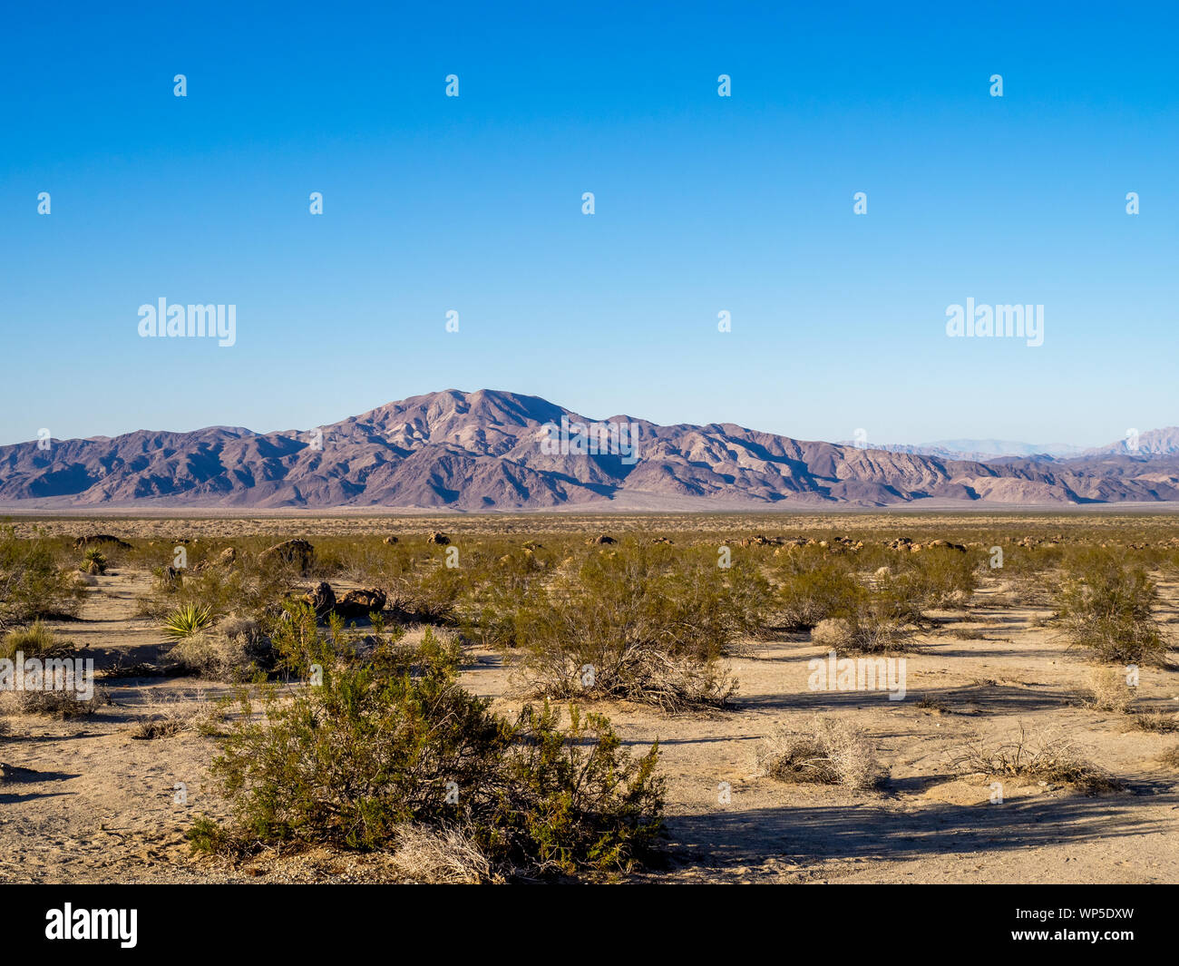 Landscape in Joshua Tree National Park, California, USA, where the ...