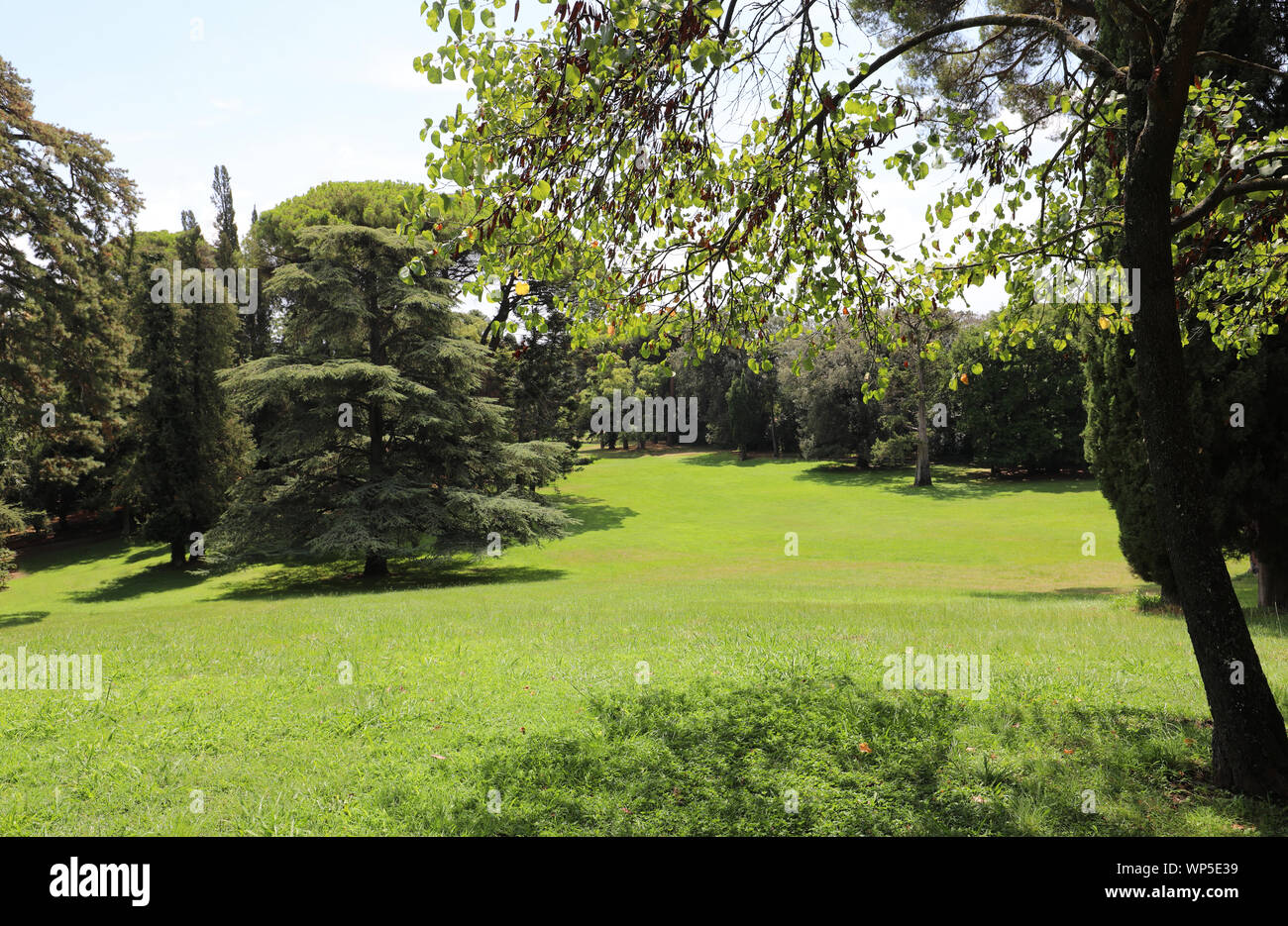 wide green garden in europe with big trees Stock Photo - Alamy