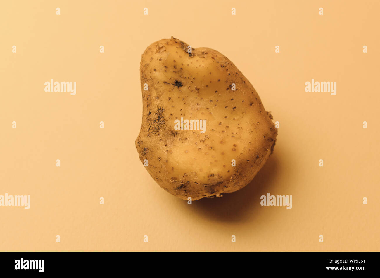 Ugly mutant odd organic big potato jagged on beige background. Rejected ...