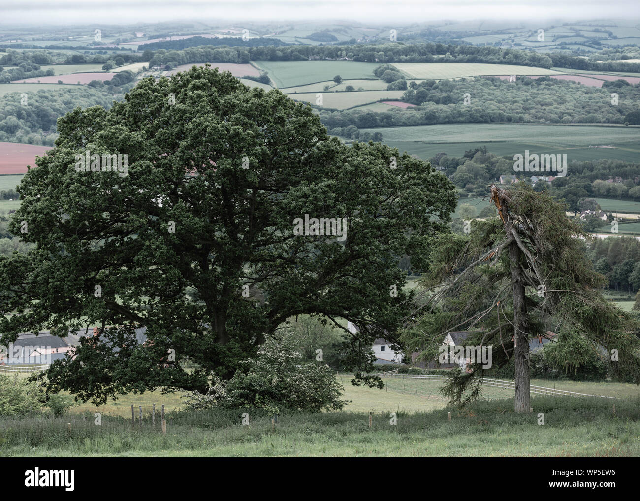 Nice cloudy day with beautiful landscape at Somerset, England Stock ...