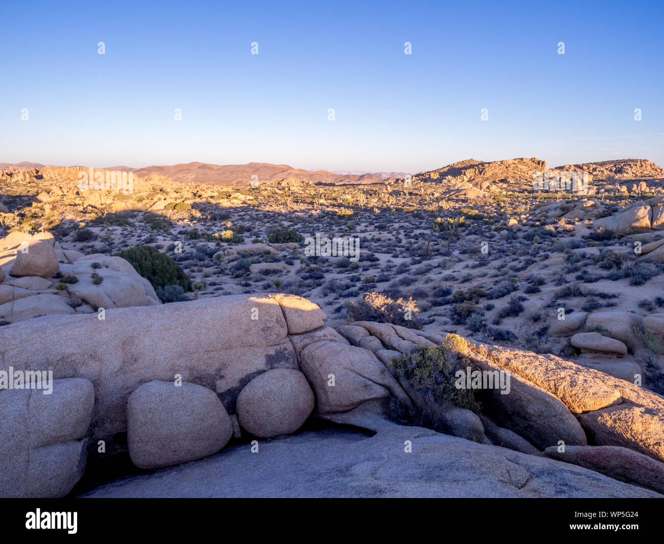 Landscape in Joshua Tree National Park, California, USA, where the ...