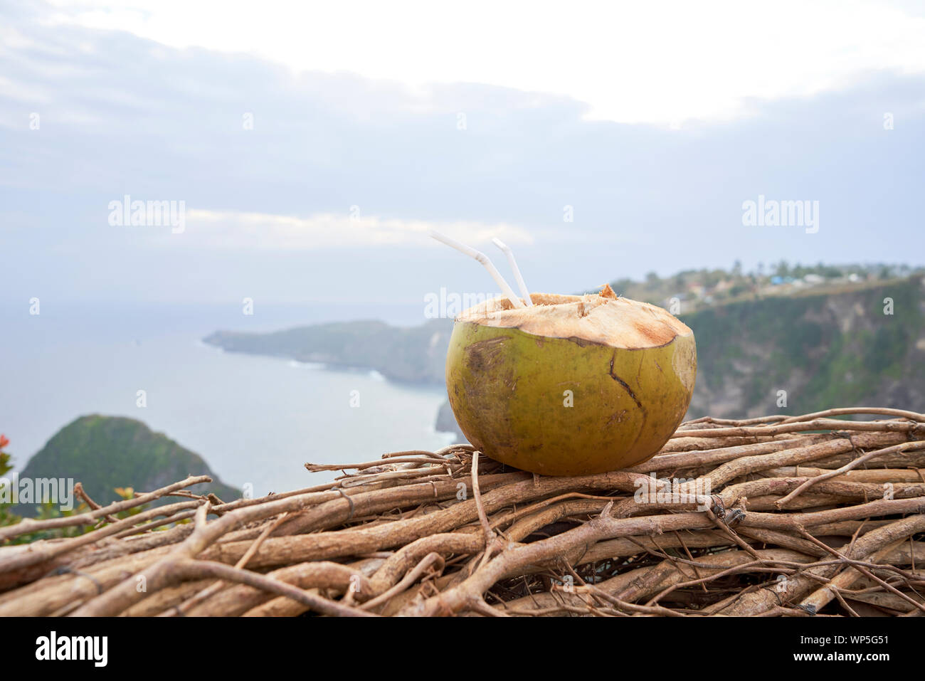 Young Woman Taking A Break And Drinking A Coconut In Front Of The Sea ...