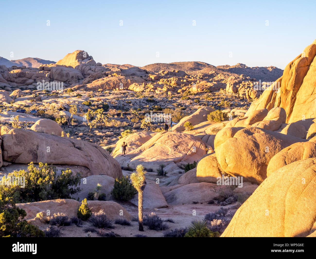 Landscape in Joshua Tree National Park, California, USA, where the ...