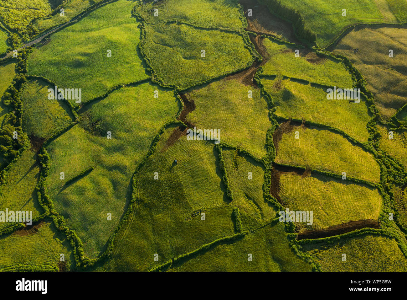 Aerial image showing typical farmland being harvest by a tractor on a ...