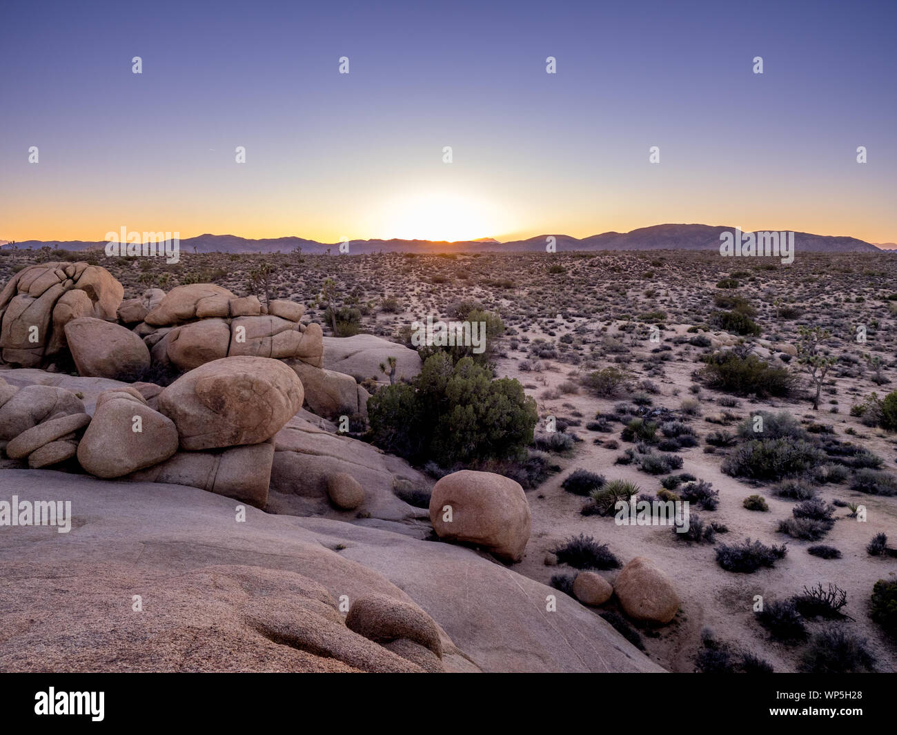 Landscape in Joshua Tree National Park, California, USA, where the ...